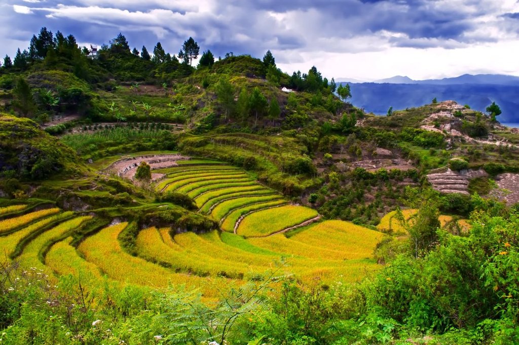 Sumatra - Java - Sulawesi - Bali | 16 Tage | umfassende Indonesienreise