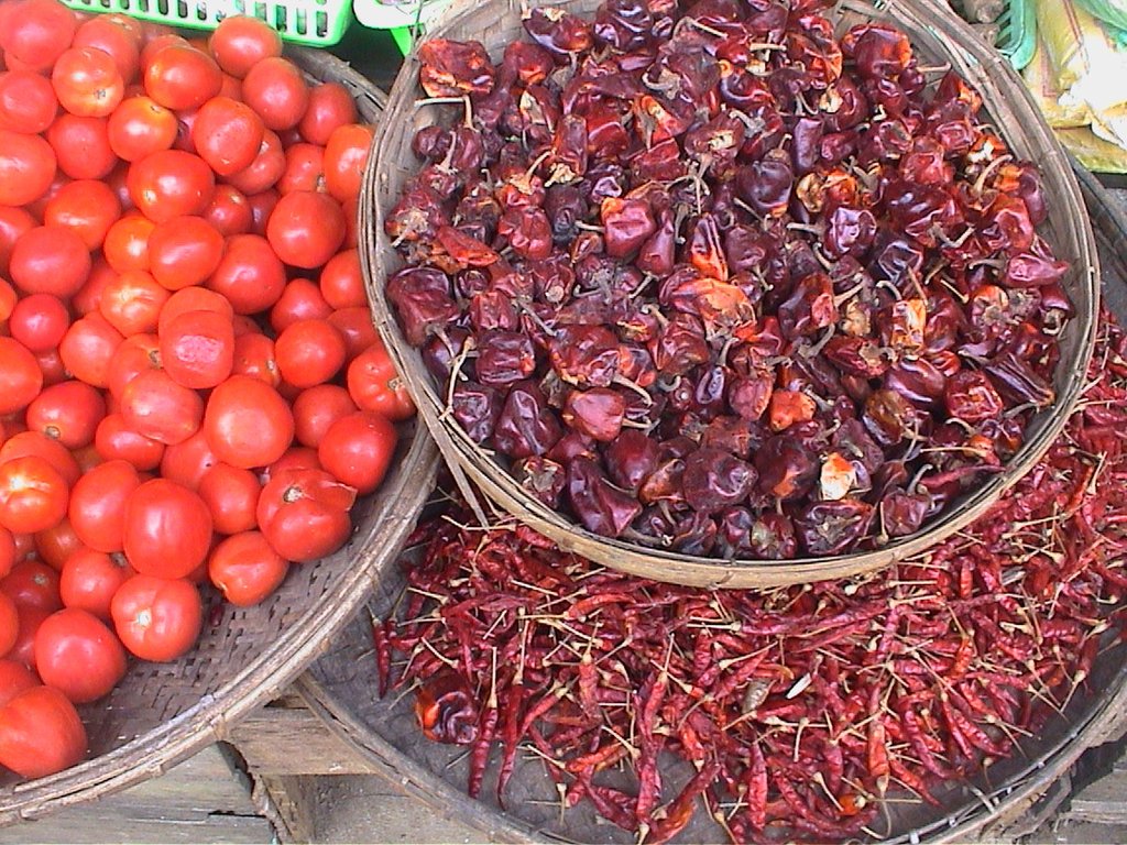 Höhepunkte Myanmar | ZugVogel Plus - Go Local und Lichterzeremonie